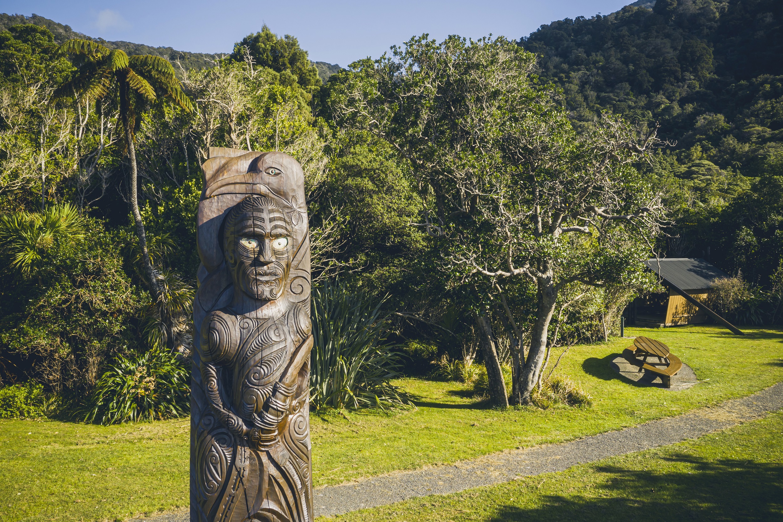Day Cruises | Marlborough Sounds Activities | Cougar Line NZ
